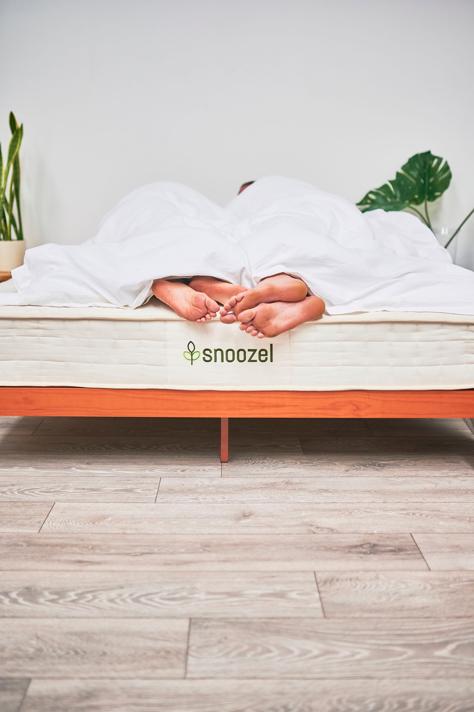 Sleeping in the Summer – Snoozel Green